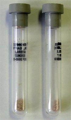 Coagulation Tests | VCA Animal Hospital