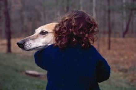 Eye Tumors - Melanoma in Dogs | VCA Animal Hospital